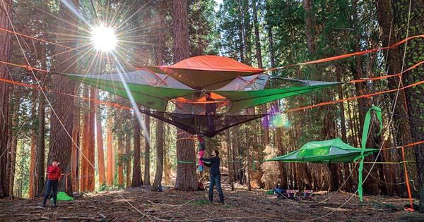 Stromový stan Tentsile ponúka miesto na relax a spánok uprostred prírody