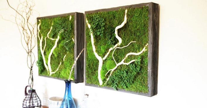 Machové obrazy, ktoré zaujmú na prvý pohľad | Erin Kinsey